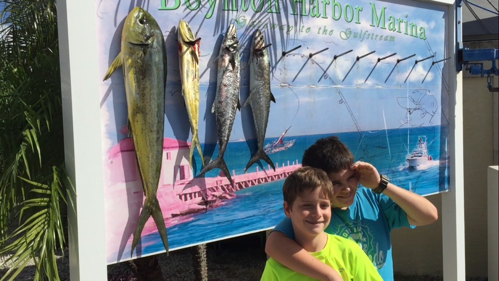 11/30/15 Boca Raton Fishing Report: Dolphin, Kingfish, Snook, Snapper ...